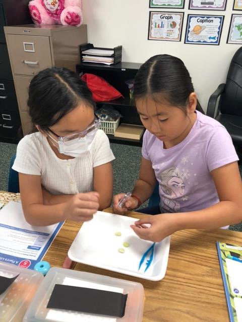 Home | Thomas Paine Elementary School