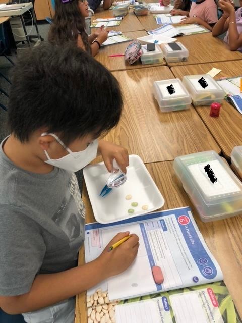 Home | Thomas Paine Elementary School