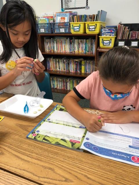 Home | Thomas Paine Elementary School