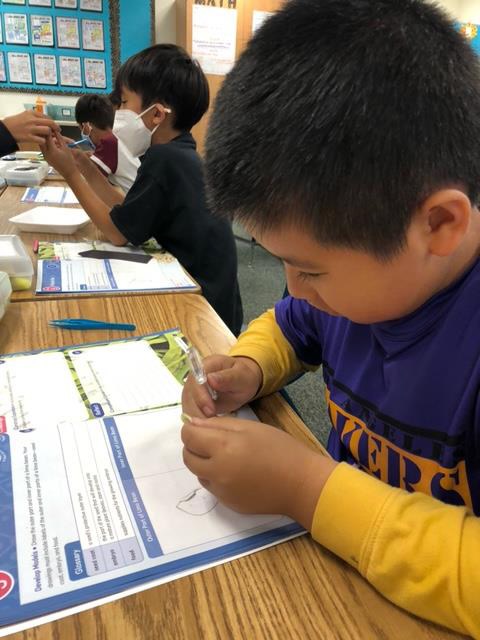 Home | Thomas Paine Elementary School