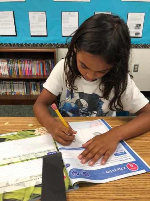 Home | Thomas Paine Elementary School